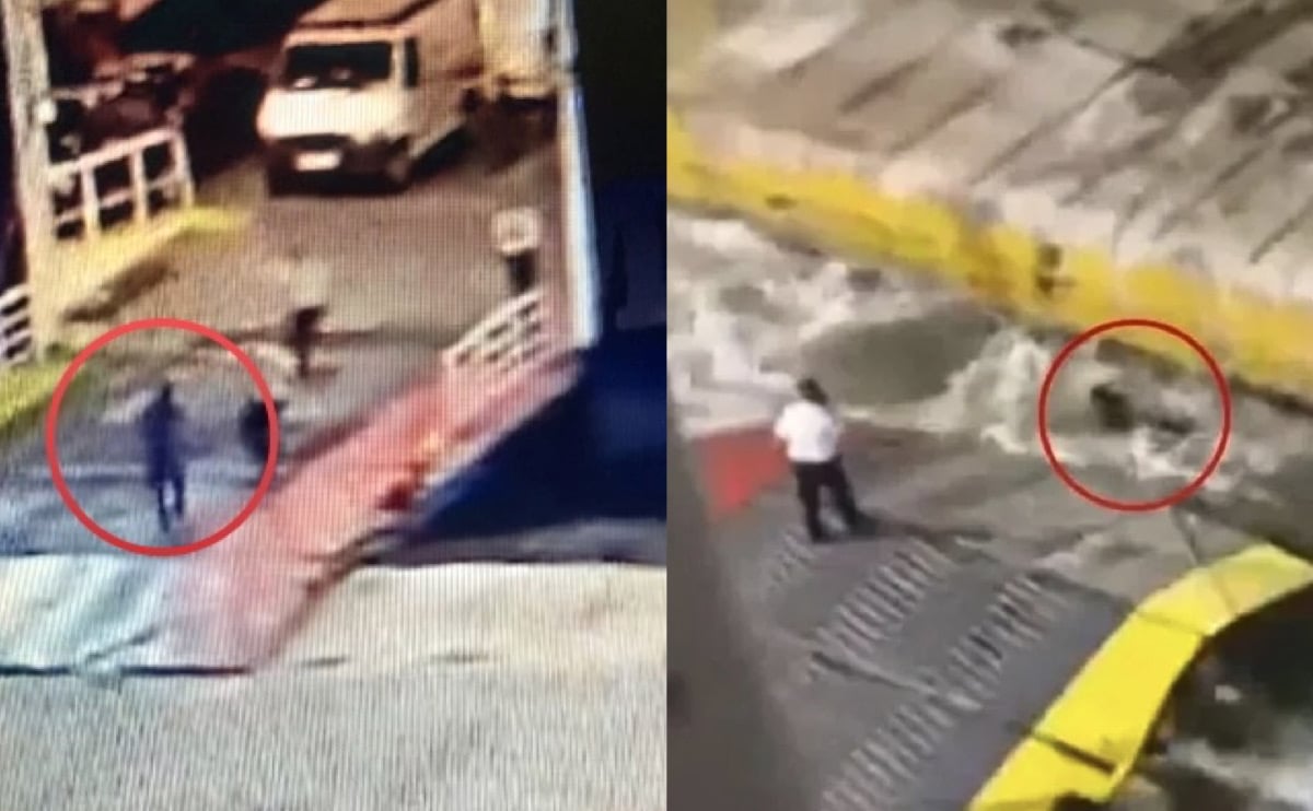 Passeggero arrivato in ritardo all'imbarco muore annegato